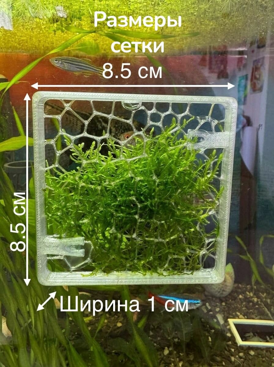 Сетка для мха в аквариум — фото 1