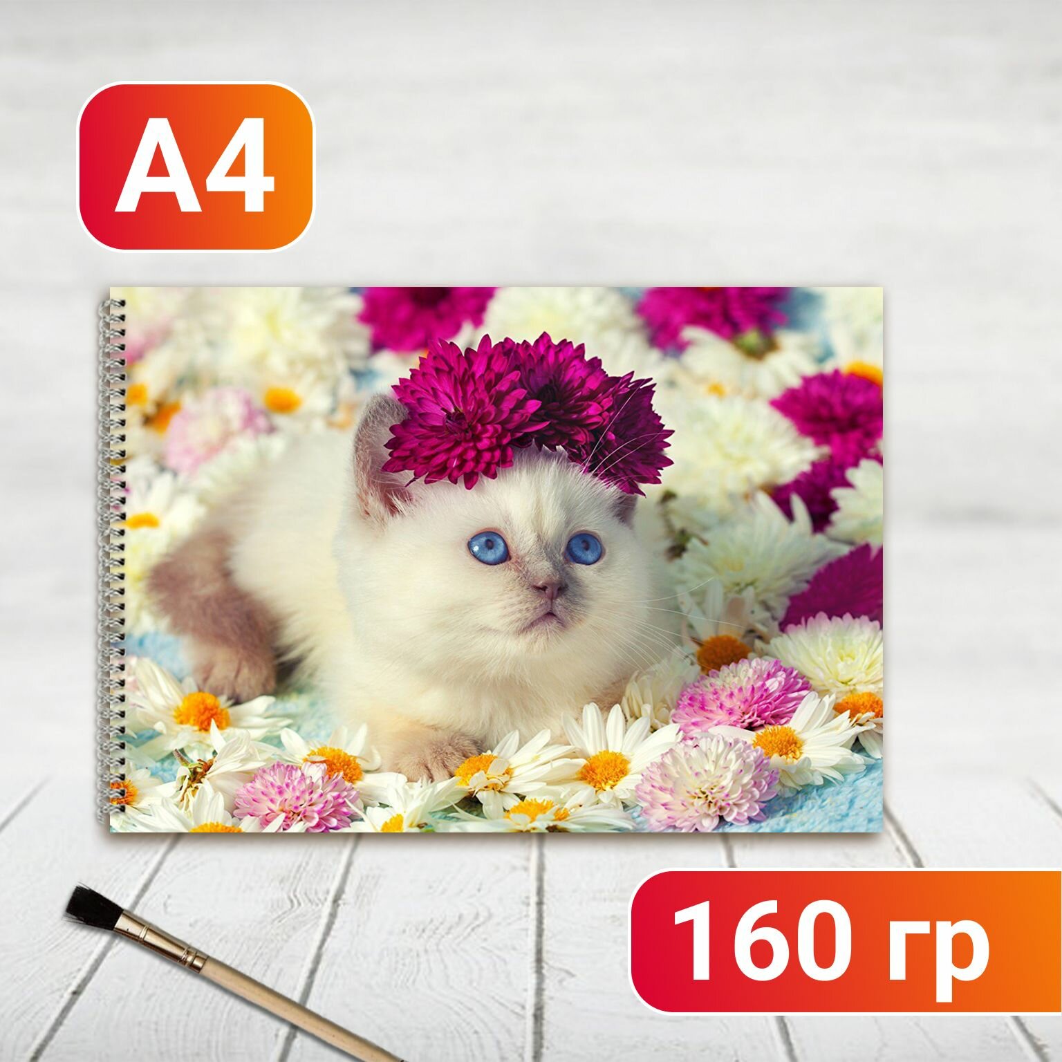 Альбом для рисования Котик