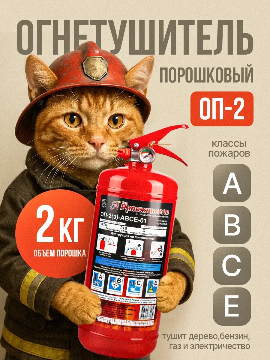 Огнетушитель Ярпожинвест, порошковый, ОП-2(з) (A, B, C, E), 2 л