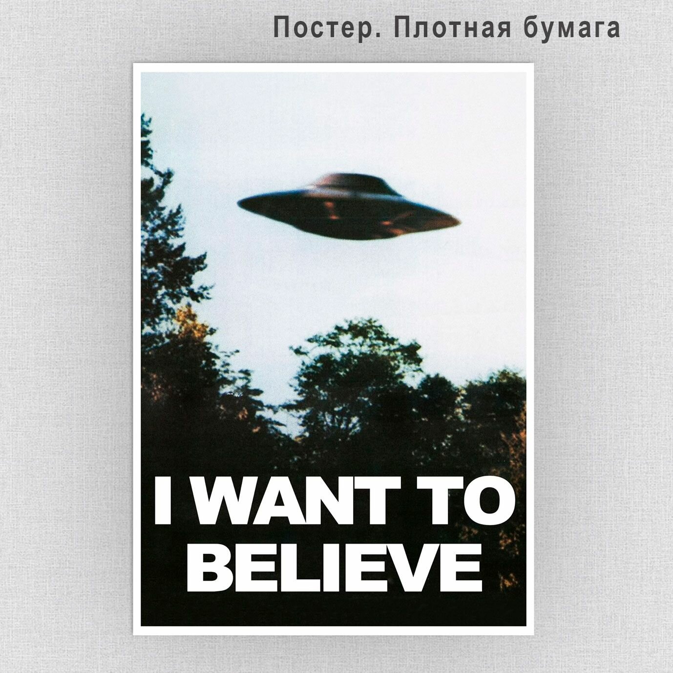 Постер, плакат Малдера Секретные материалы Я хочу верить 50х70см