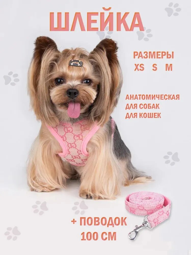 Шлейка с поводком для собак мелких, средних пород и кошек