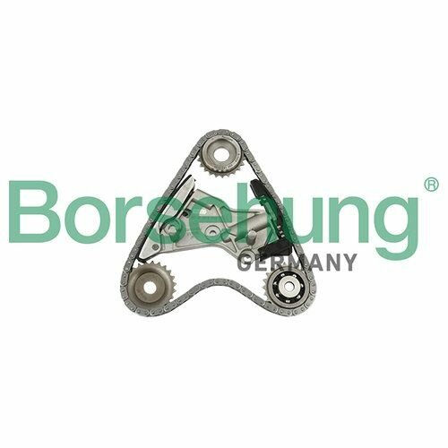 Цепь грм с натяжителями, комплект Borsehung B10201