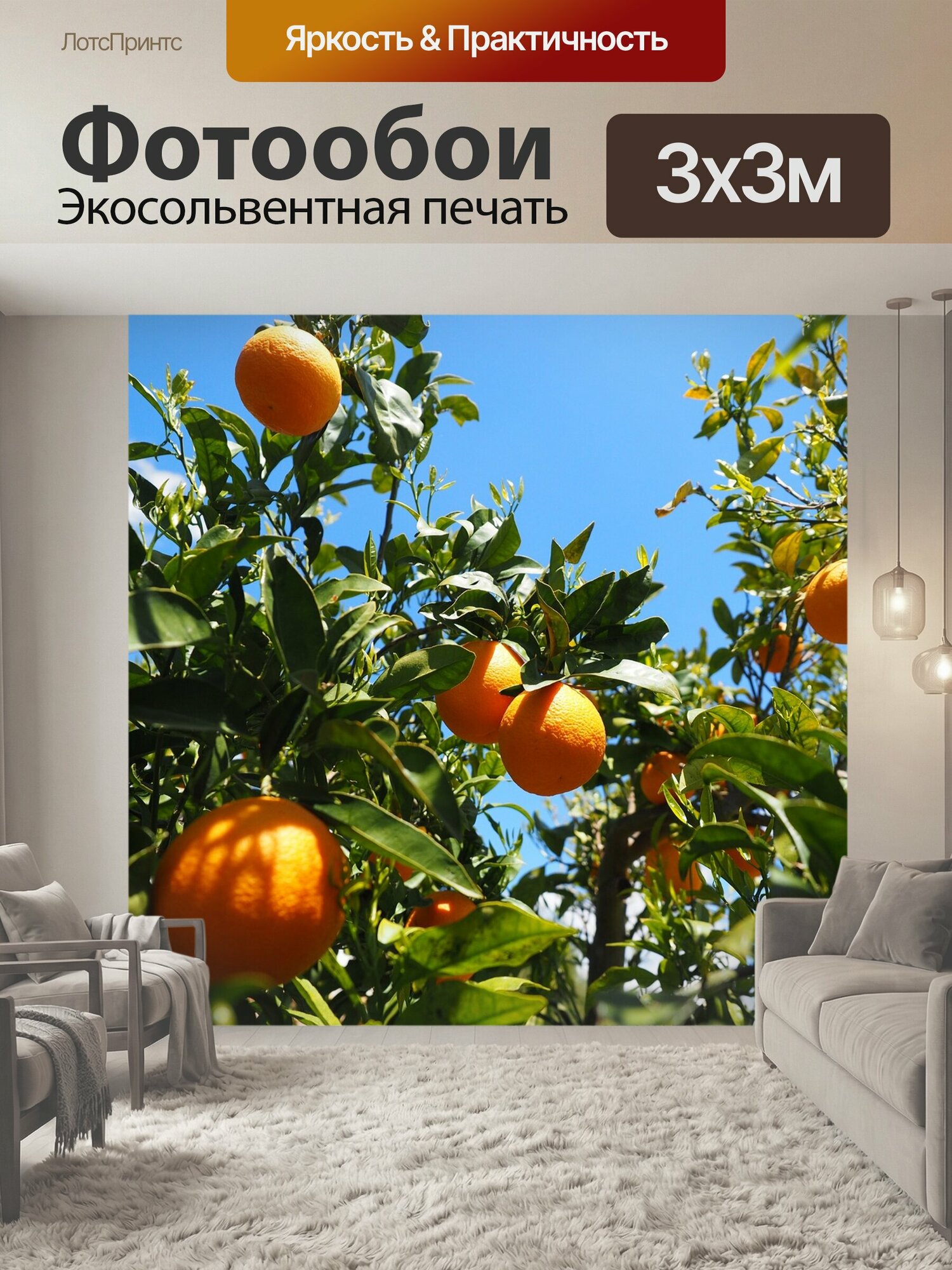 Фотообои "Апельсины, фрукты, апельсиновое дерево" 300x300 см. экосольвентная печать