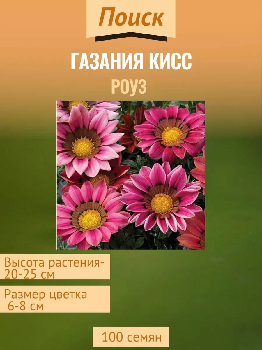 Газания Кисс F1 Роуз 1 уп - 100 шт
