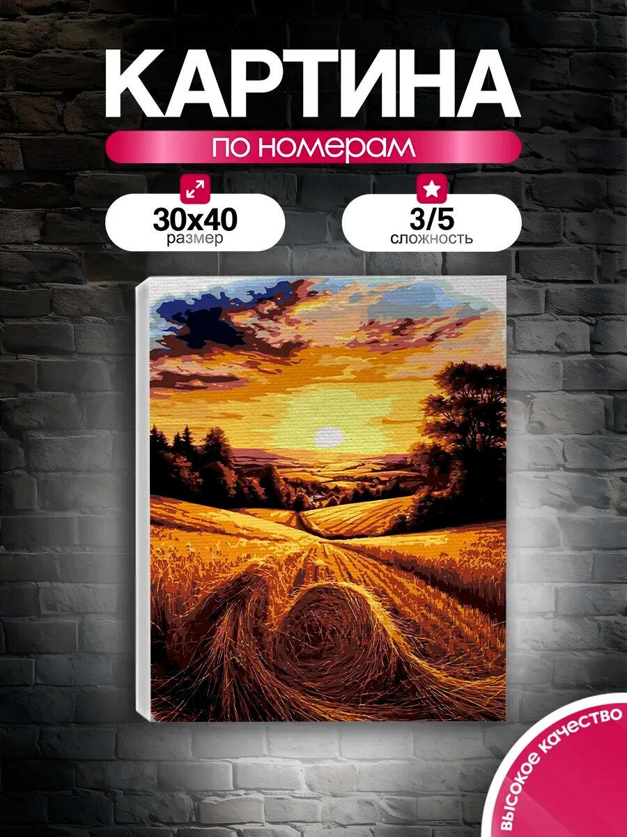 Картина по номерам 30x40 Золотое поле