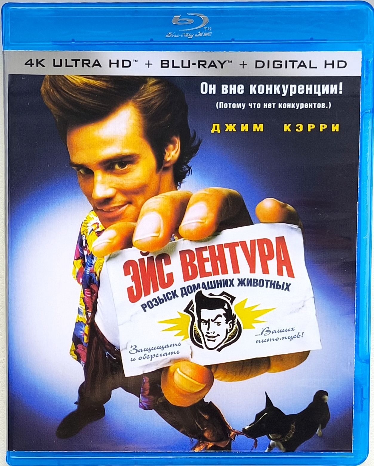 4K Ultra HD Blu-ray. Эйс Вентура: Розыск домашних животных. Фильм 1994 года. Комедия, детектив, приключения.