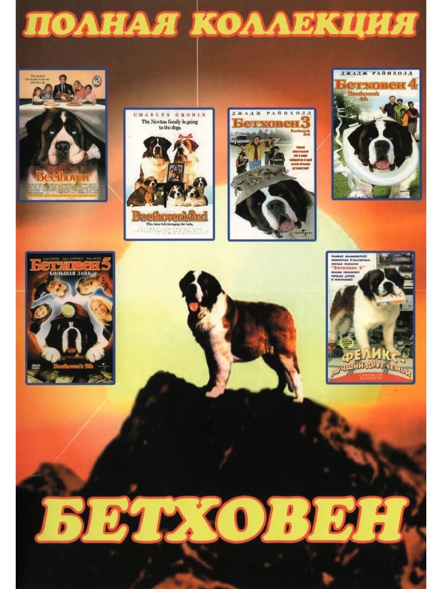 Бетховен 1-5, Феликс лучшый друг семьи (DVD-R)