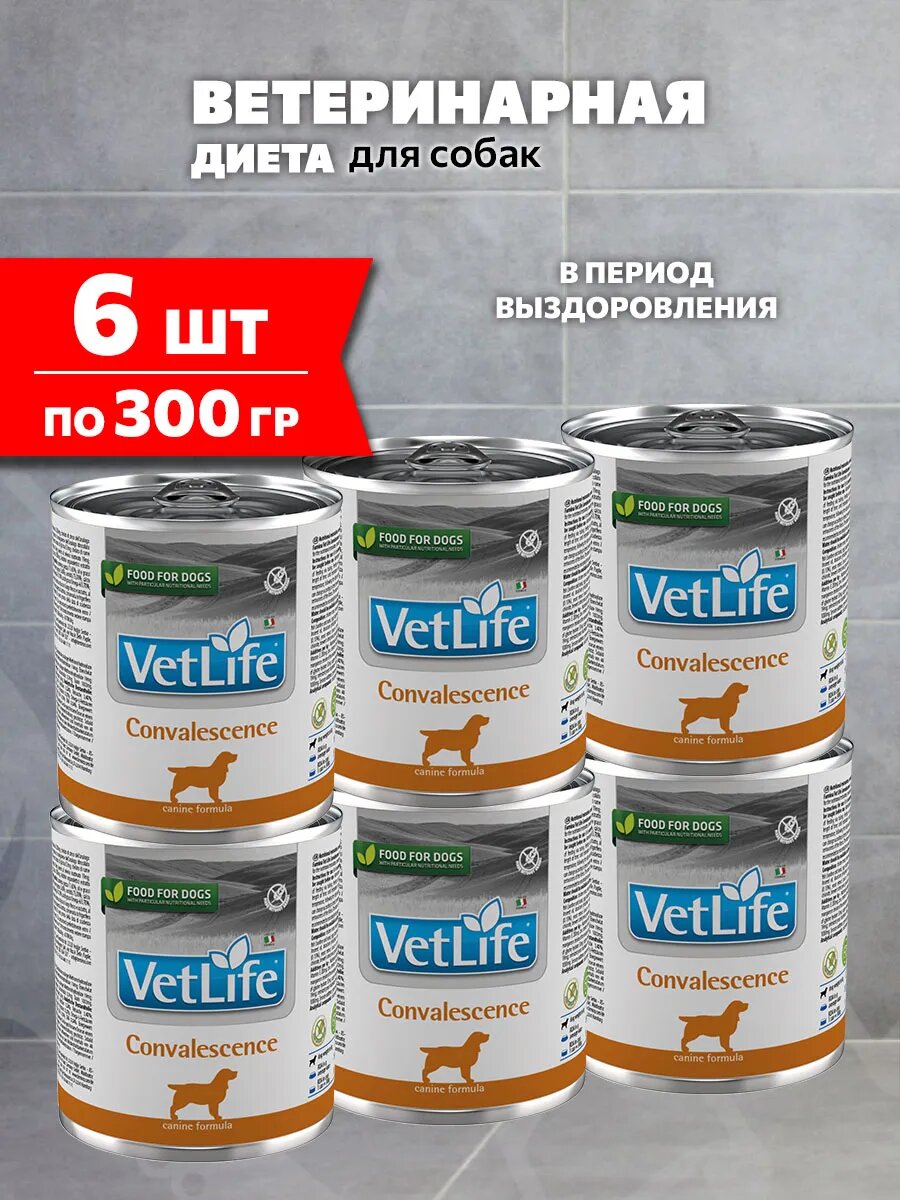 Корм влажный Farmina Vet Life Canin Convalescence для взрослых собак в период выздоровления, 300 г 6 шт
