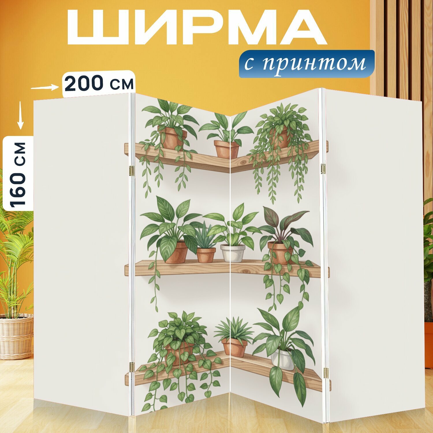 Ширма "Комнатные растения на деревянных полках. Уютная ботаническая композиция с горшечными зелёными." перегородка для зонирования комнаты с принтом 200x160 см. на холсте