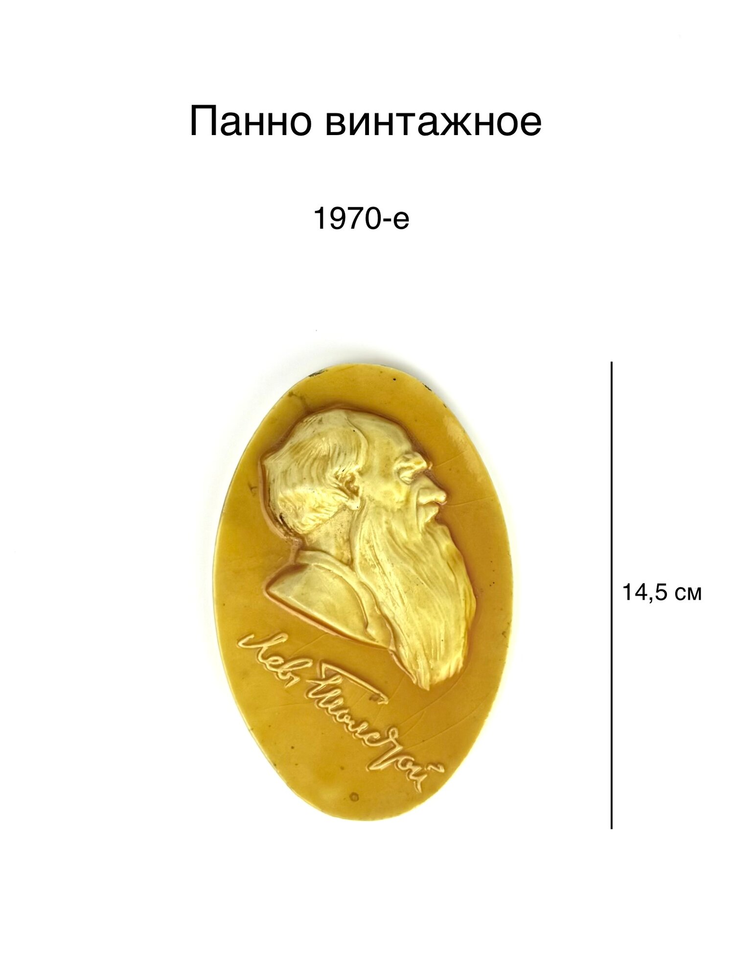 Панно настенное Барельеф Лев Толстой. Фаянс. 14,5х9,5 см. 1970-е