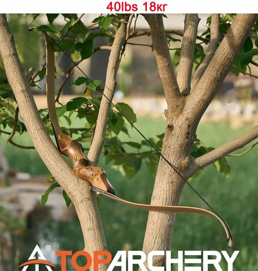 TOPARCHERY Стрела для лука, 1 шт