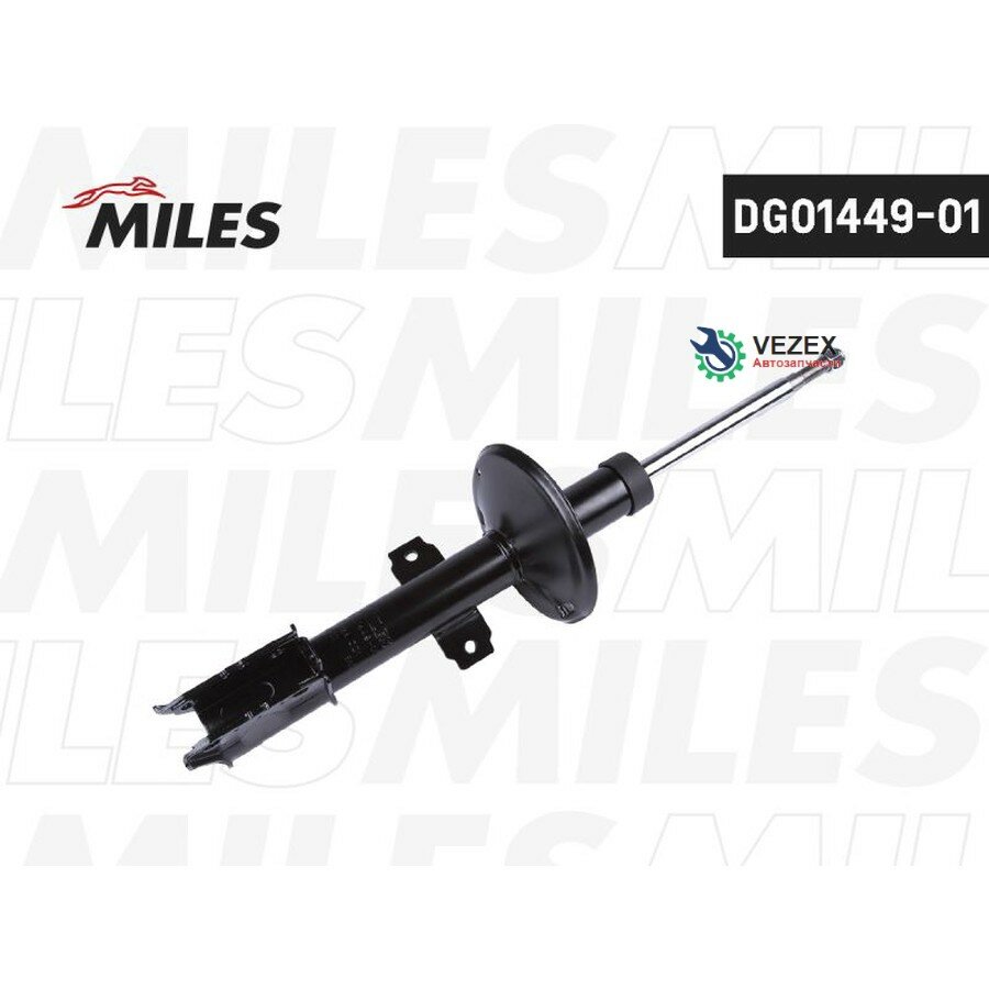 MILES DG01449-01 Амортизатор подвески