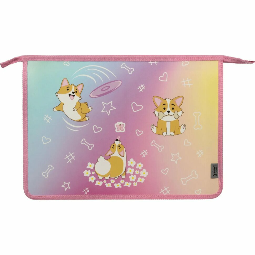 Папка для тетрадей Corgi time, А4, молн, пласт, ПТ-813, 1557049