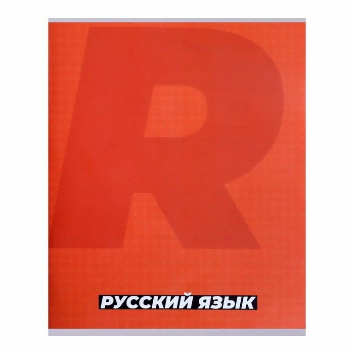 Тетрадь предметная "MonoTone" 36 листов в линейку "Русский язык", со справочным материалом, обложка мелованая бумага, блок № 2, белизна 75% (серые листы)