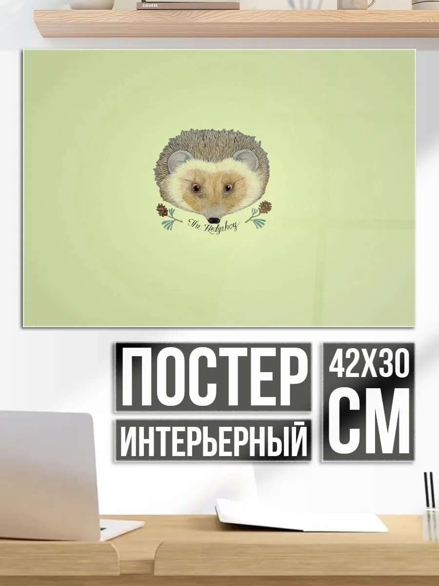 Плакат постер Милый ёжик