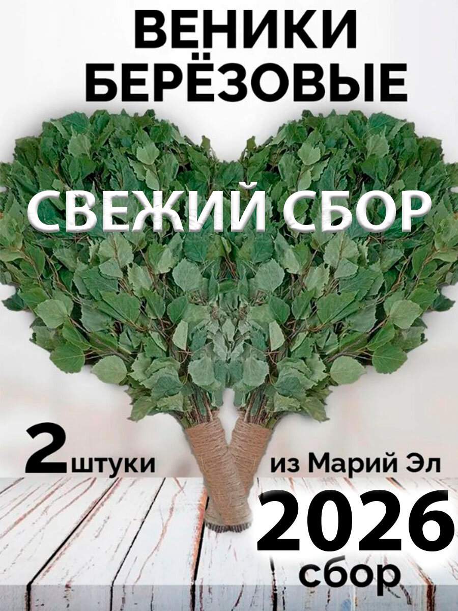 Веники для бани берёзовые из Марий Эл отборные с ручкой из джута 2 штуки в коробке 2026