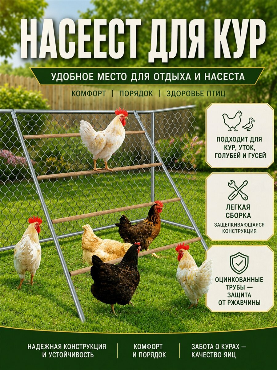 Насест для кур устойчивый каркасный, деревянные перекладины, надежная конструкция для ежедневного содержания кур на даче