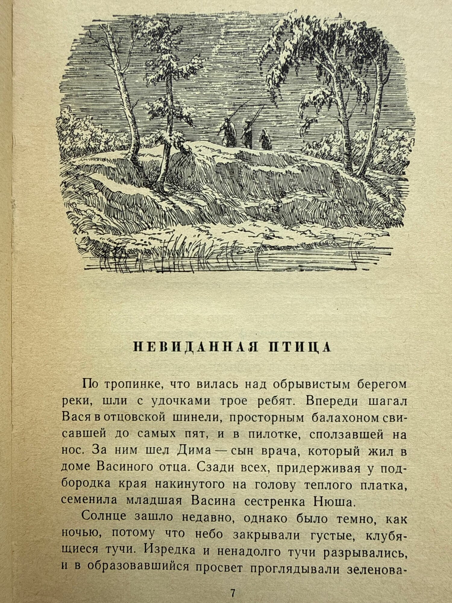 Невиданная птица — фото 1
