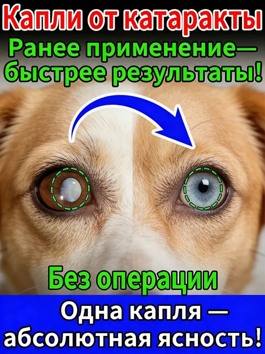 Глазные Японские капли от катаракты глаукомы и собаки кошки