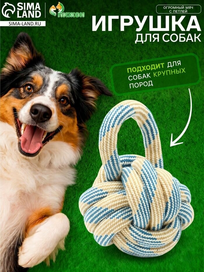 Игрушка для больших собак канатная Огромный мяч с петлей , до 25 см, до 340 г