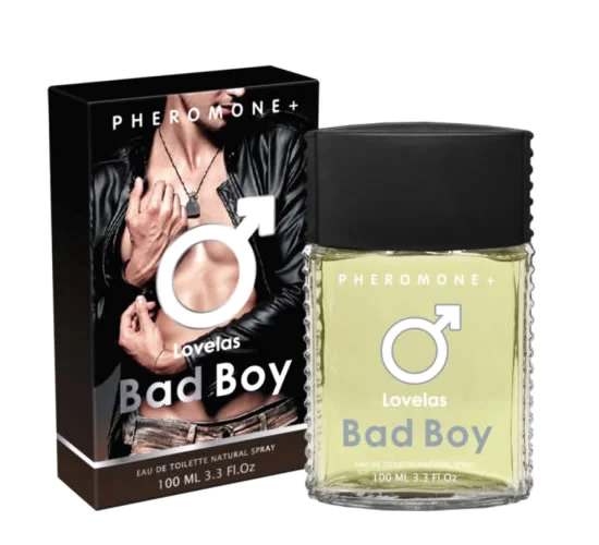 Ловелас Бед Бой туалетная вода мужская 100 мл / Lovelas Bad Boy