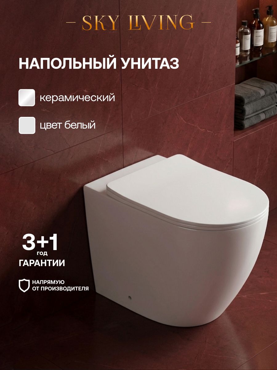 Напольный унитаз безободковый керамический VONG Dijon, 560*360*400 мм, DN009