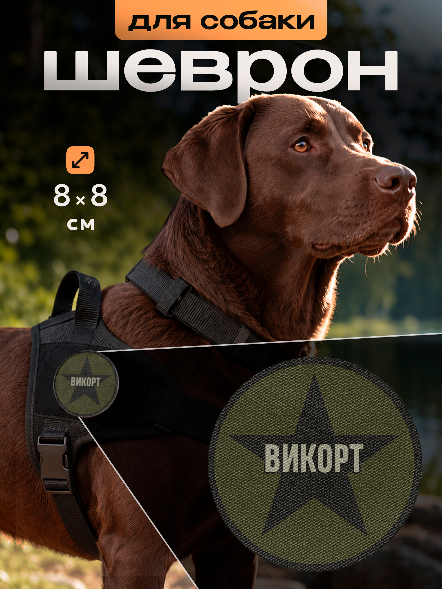 Шеврон IREVIVE кожаный, круглый 8 см, Викорт , на липучке, для формы, военному