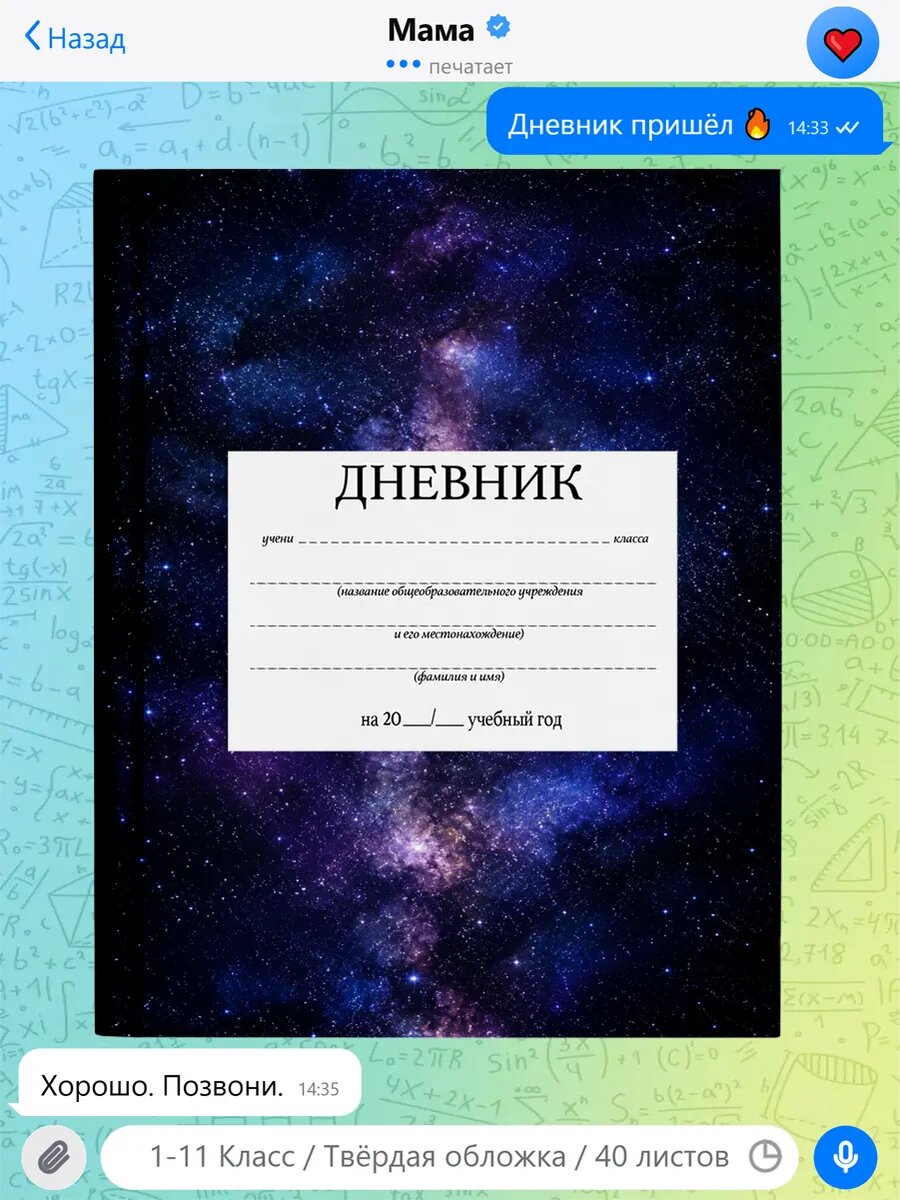 Школьный дневник с принтом Роблокс