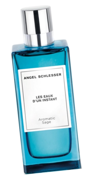 Eau de toilette Angel Schlesser Aromatic Sage для мужчин 100 мл - Ароматик Сейдж