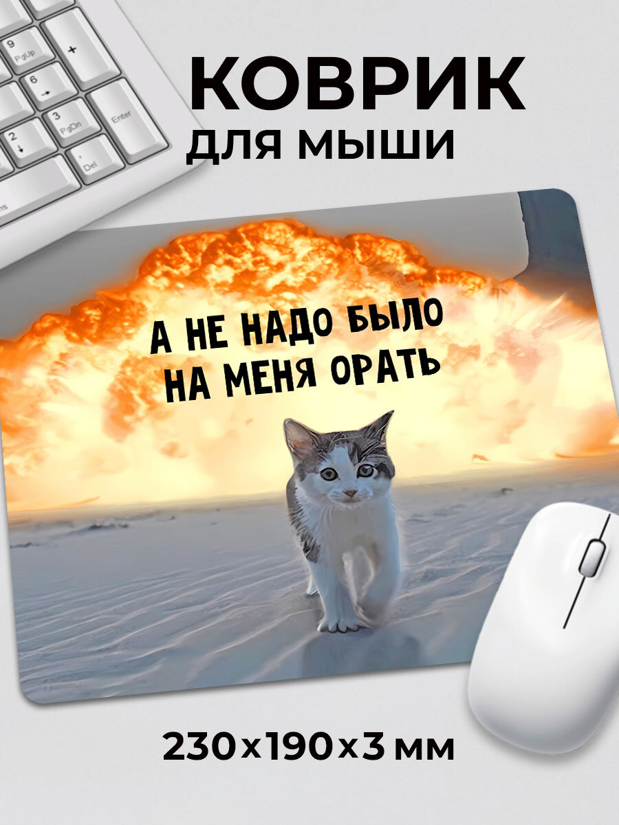 Коврик для мышки мем прикол Кот Котик надо было орать взрыв