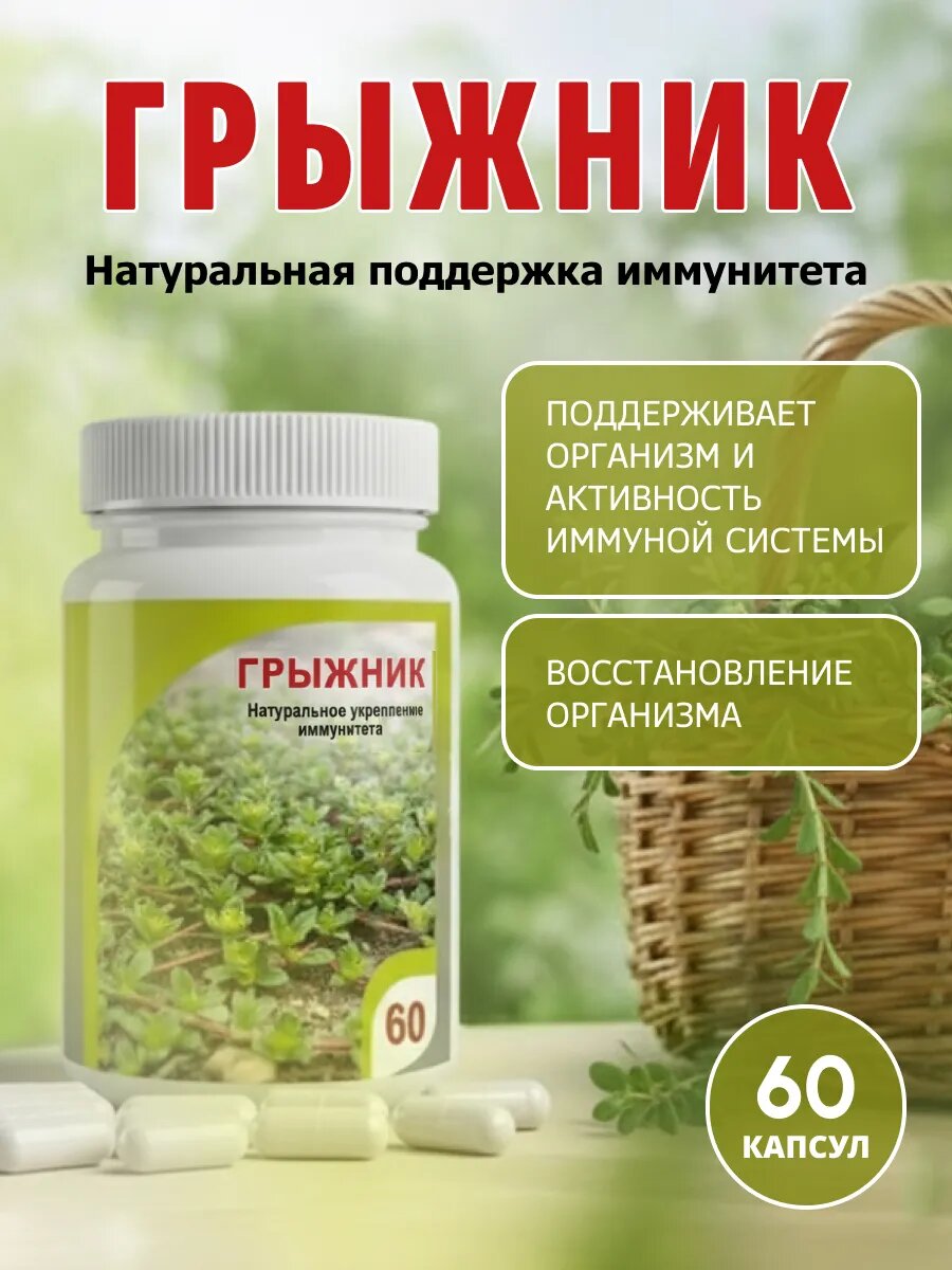 Грыжник гладкий трава для иммунитета против вирусов и простуды