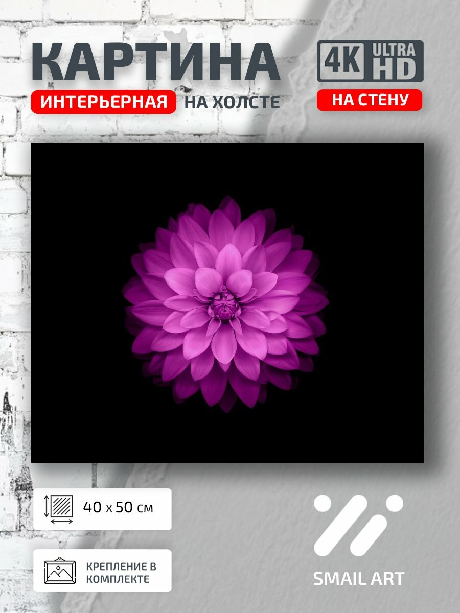 Картина на холсте интерьерная 40 на 50 на стену Фон Macro для офиса макро интерьер декор