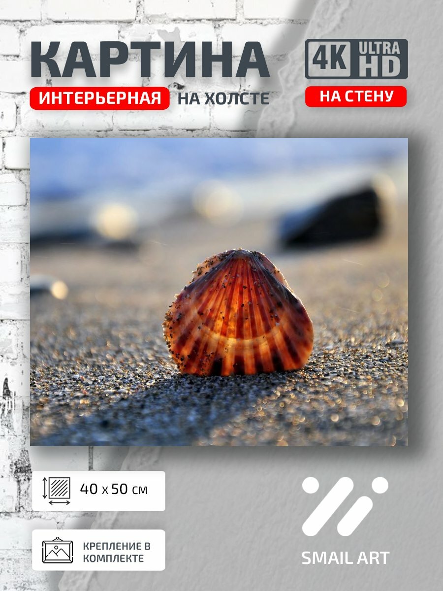 Картина на холсте интерьерная 40 на 50 на стену Песок shell для спальни пейзаж интерьер