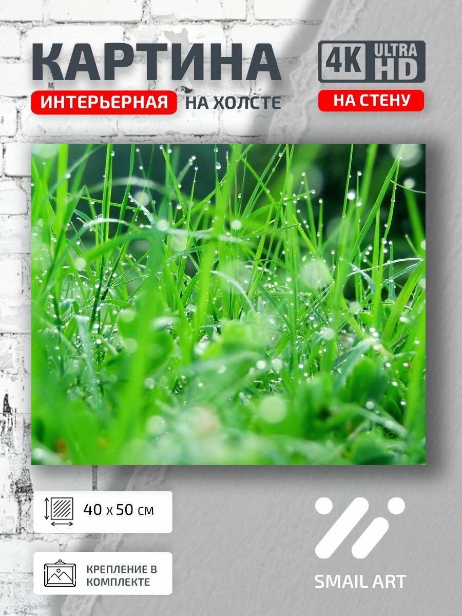 Картина на холсте интерьерная 40 на 50 на стену Весна Landscape для кабинета пейзаж декор