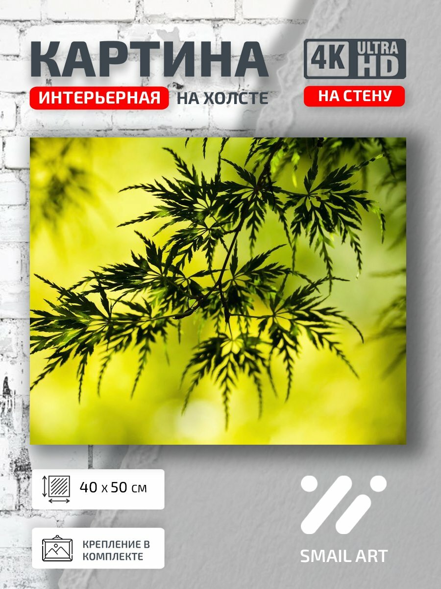 Картина на холсте интерьерная 40 на 50 на стену Фокус Landscape для офиса пейзаж интерьер