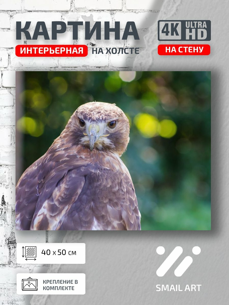 Картина на холсте интерьерная 40 на 50 на стену Блики Landscape для офиса пейзаж интерьер