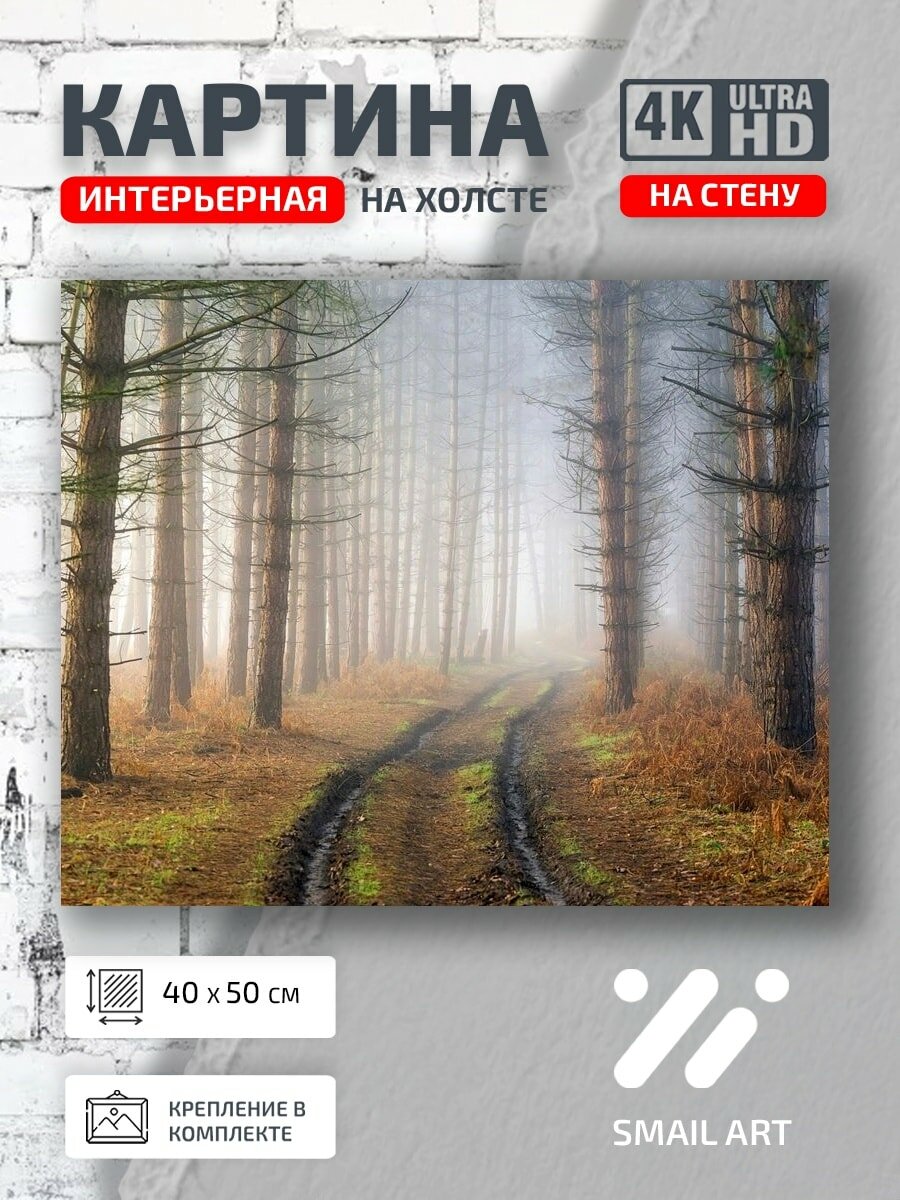 Картина на холсте интерьерная 40 на 50 на стену Природа Лес для офиса пейзаж