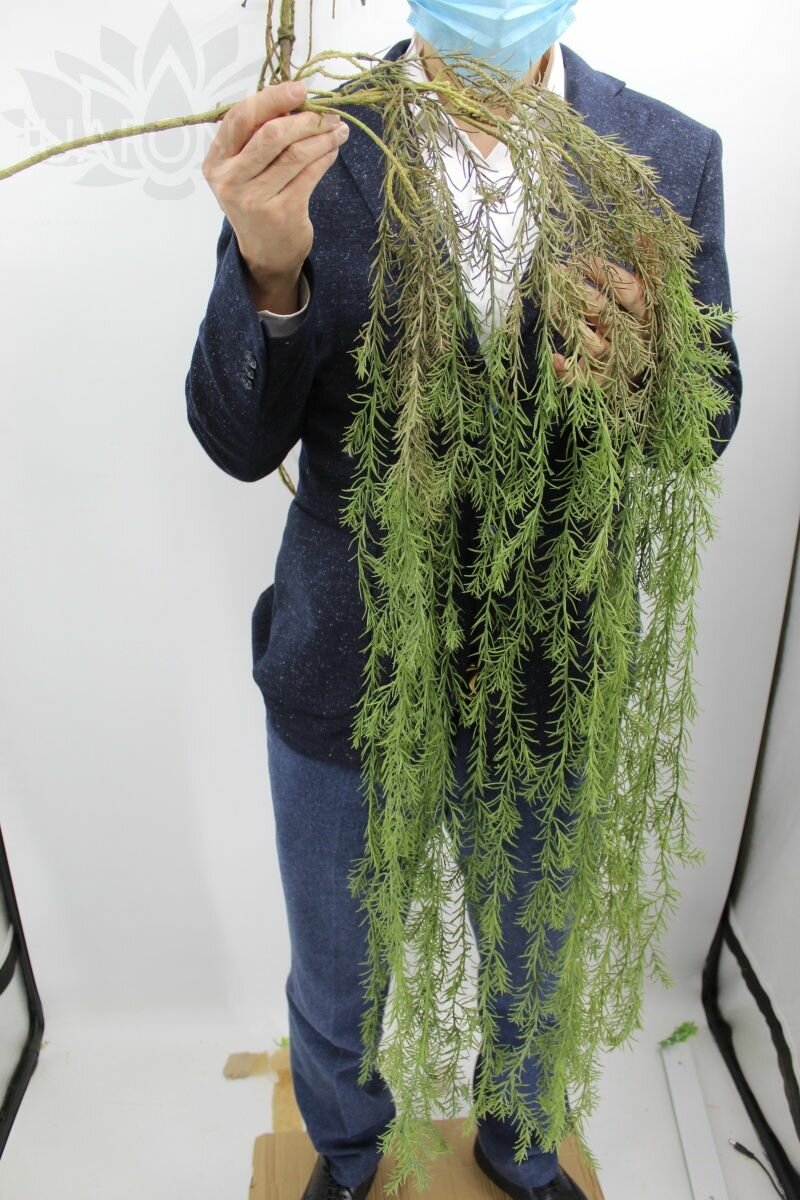Искусственные цветы для декораторов фитостен флористическая ветка ампельная аспарагус 120см
