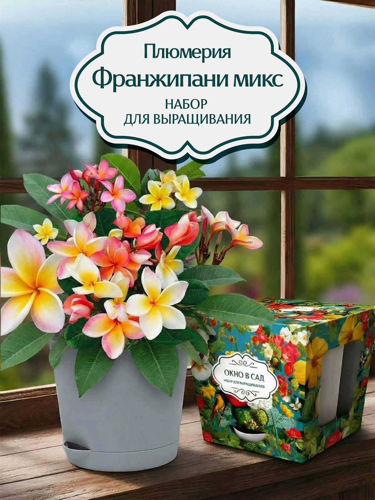 Набор для выращивания Франжипани микс Плюмерия "Окно в сад", для детей и взрослых