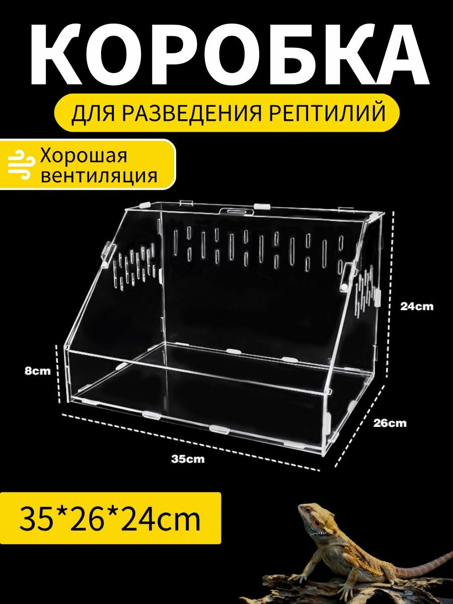 Акриловый террариум для рептили, Коробка разведения рептилий, с магнитной пряжкой, прозрачная и видимая.