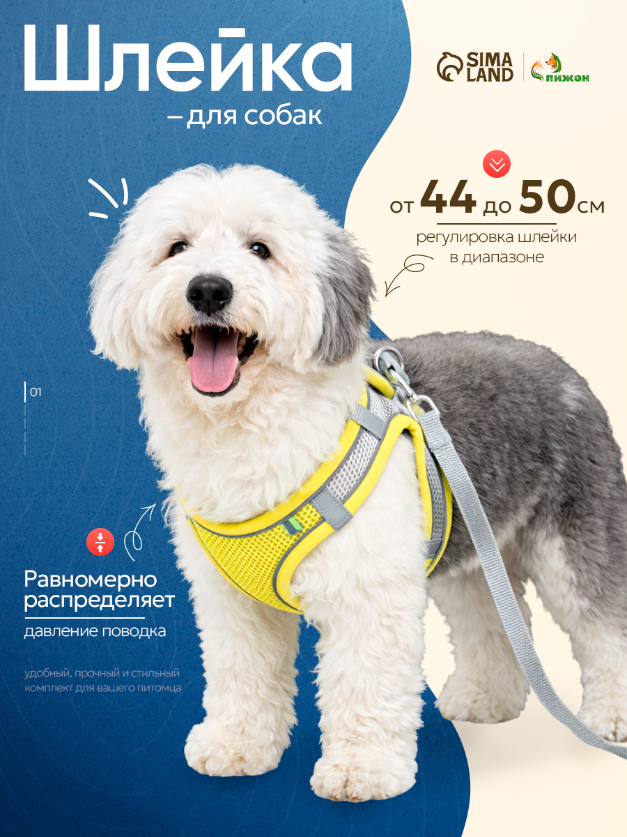 Комплект с мягкой шлейкой, быстросъемный, M, поводок 150 х 1,5 см, ОШ 38-44 см, ОГ 44-50 см, жёлтый