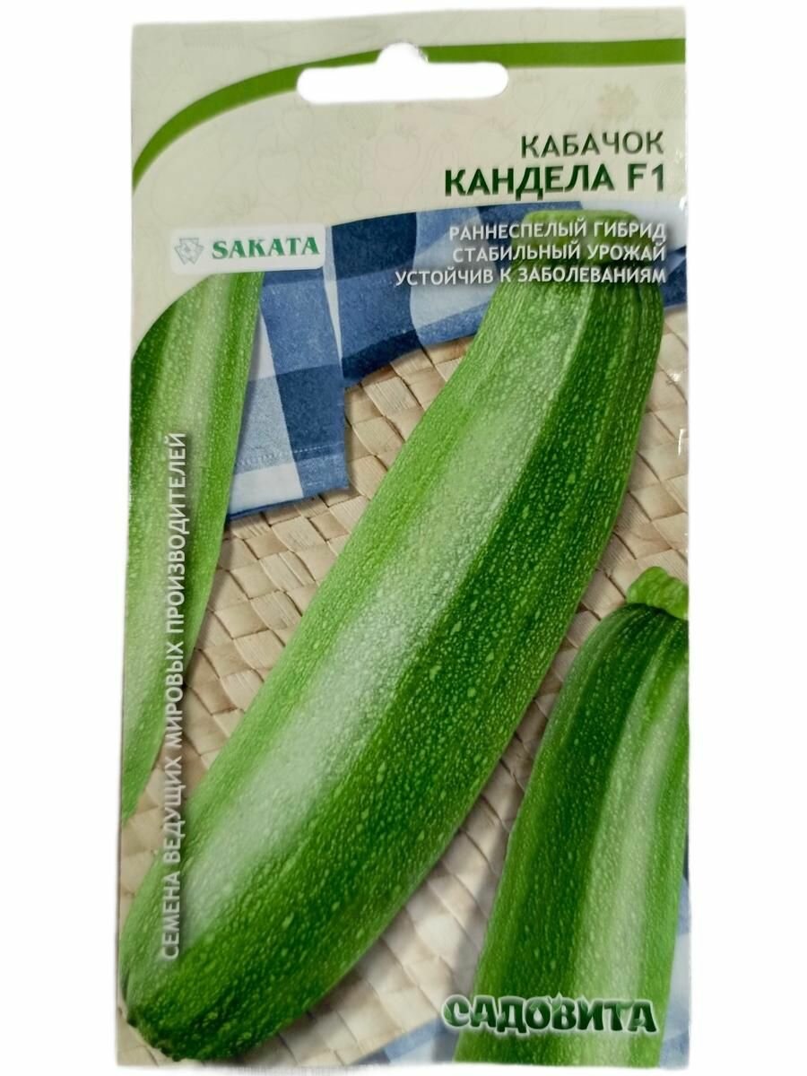 Семена кабачок цуккини Кандела F1 кустовой , раннеспелый гибрид . Садовита.