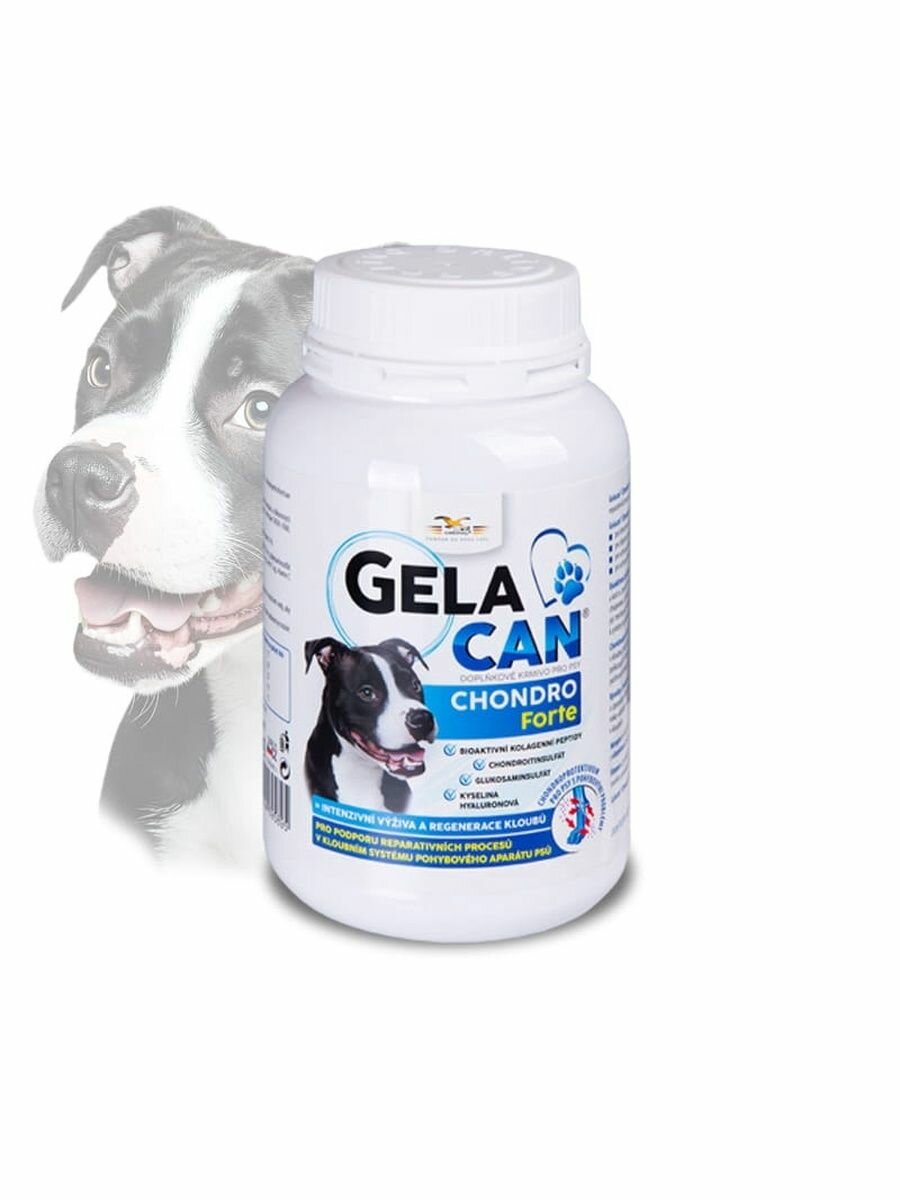 Orling Gelacan Chondro Forte Хондро Форте Добавка в корм для суставов собак, 150г