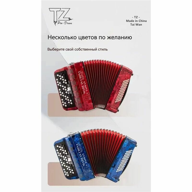 Баян — фото 1