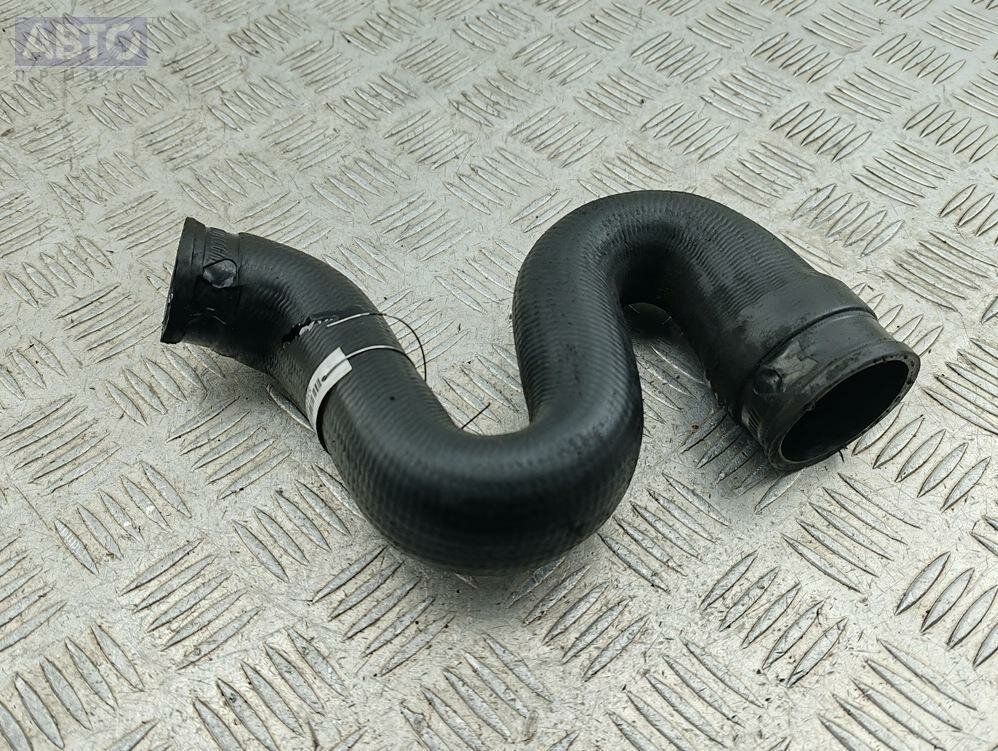 Патрубок интеркулера Volkswagen Passat B5+ (GP)