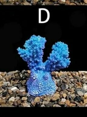 Морской Коралл