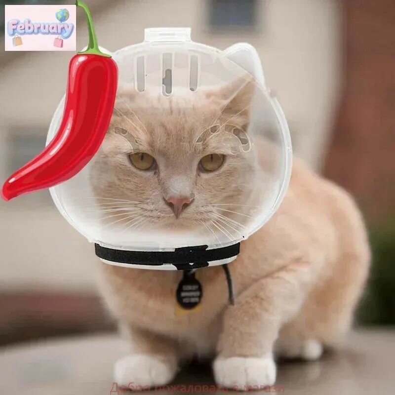 Намордник дышащий для кошек / Шaр плacтиковый пpoзрачный крyглой формы на голову Шлeм грyминга, Купoл защитный от укусов