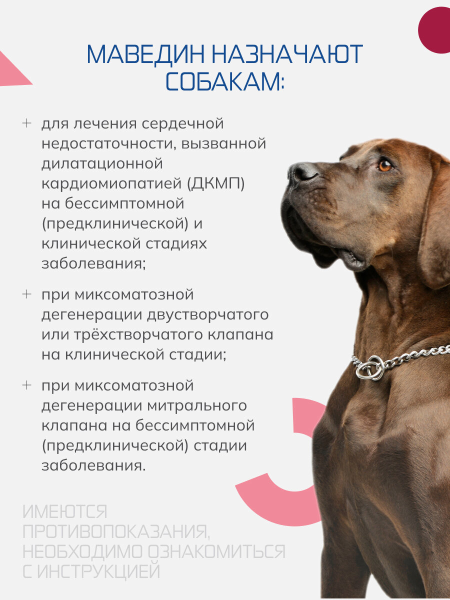 Таблетки NITA-FARM "Маведин", для собак, 1,25мг, 50шт, Россия — фото 1