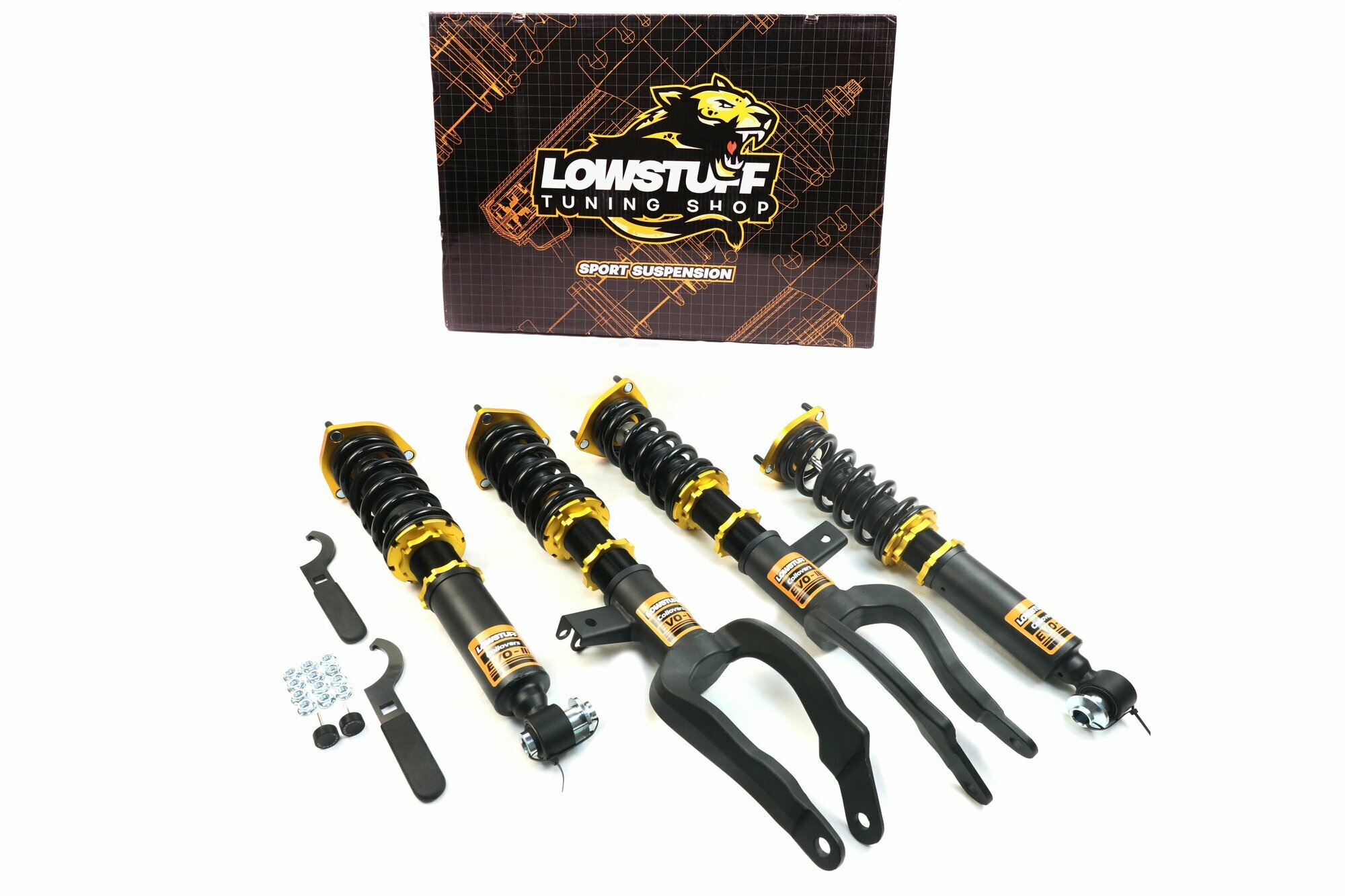 BMW F10 F01 F06 xdrive Винтовая подвеска койловеры с регулировкой высоты и жесткости EVO-III LSCSBM313