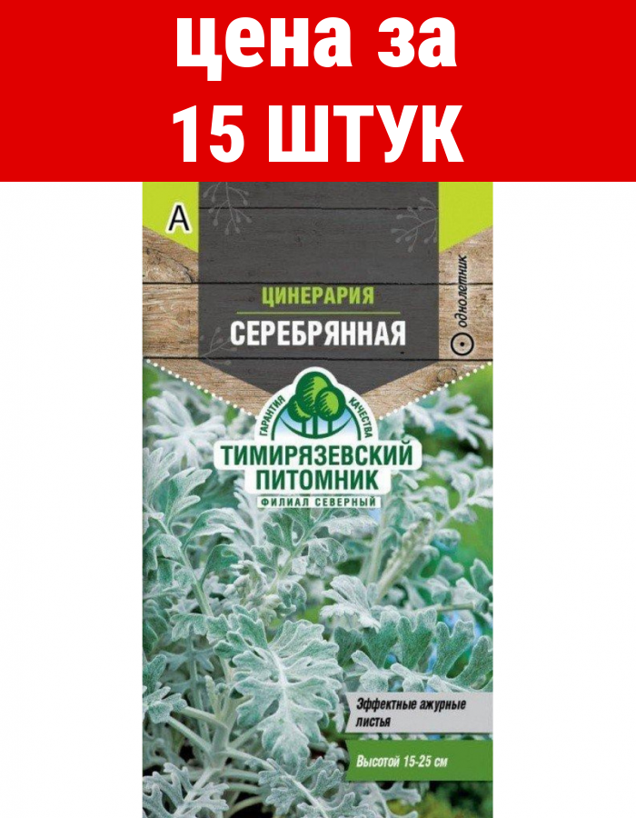 Комплект 15 шт, Семена Тимирязевский питомник цветы цинерария Серебрянная 0.05г